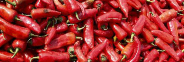 Zajímavosti o chilli - věděli jste, že?